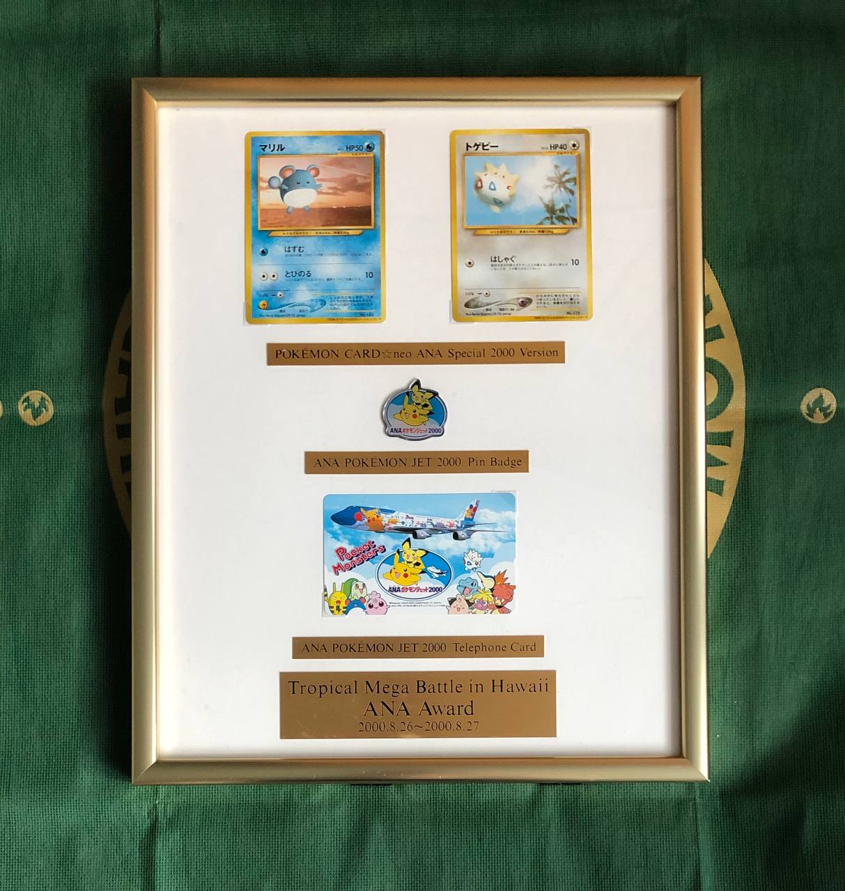 1st Place Plaque – Tropical Mega Battle (Overview) – Retro Pokémon TCG